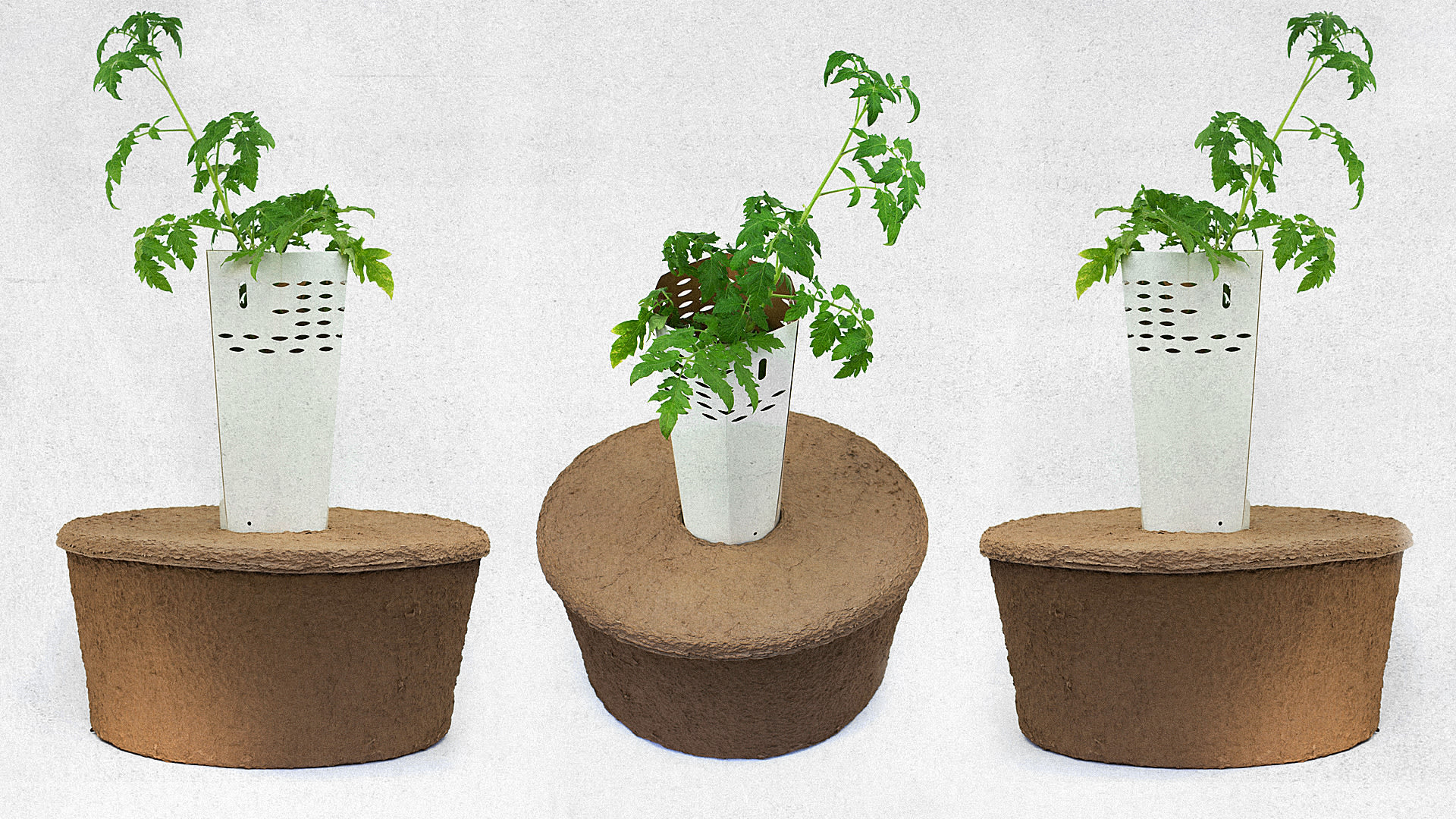 Soak Up Carbon On Poor Land With This Cheap Biodegradable Tree Planter ...