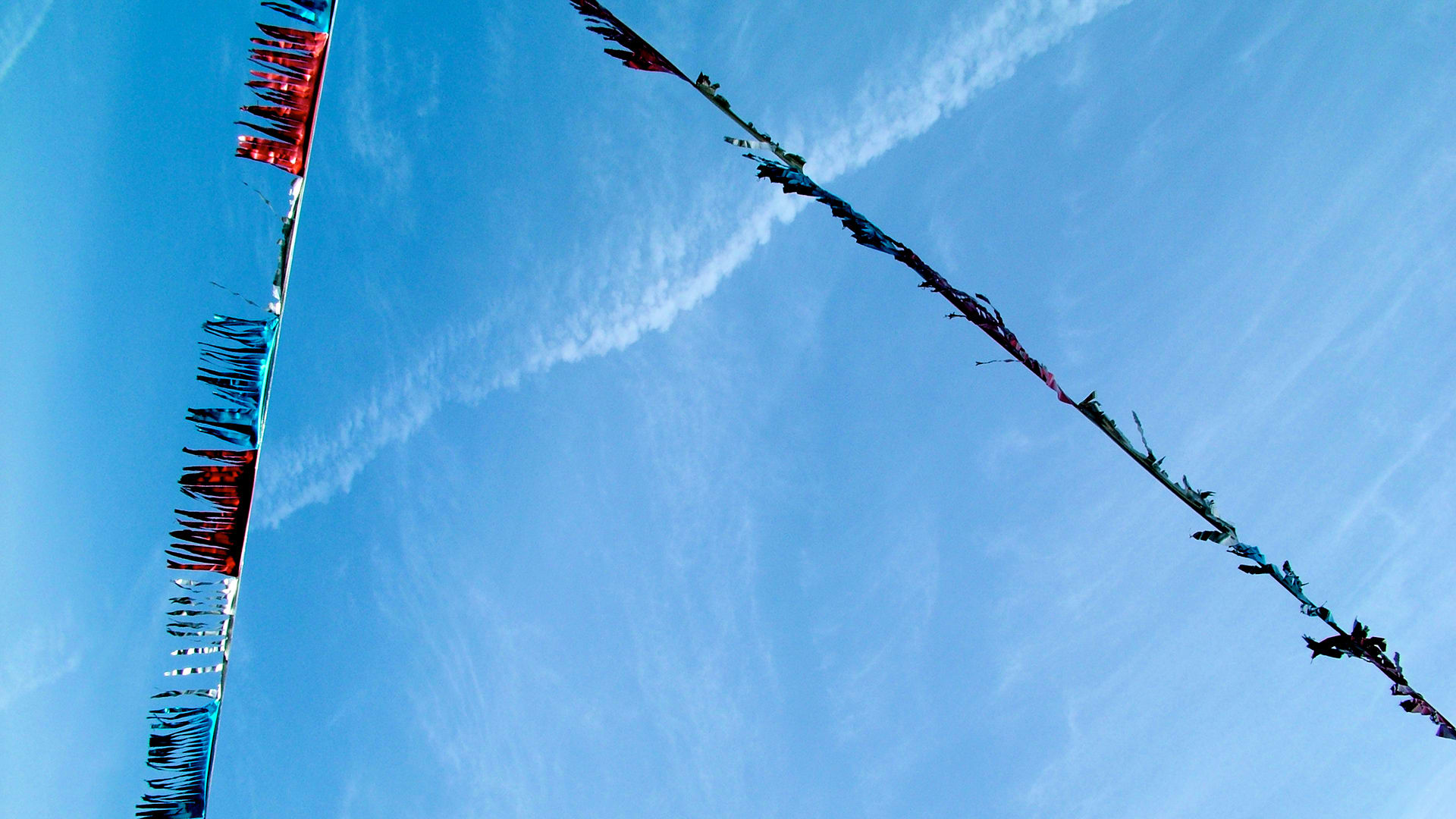 Infographic: These Maps Reveal The Most-Googled Car Brands On Earth ...