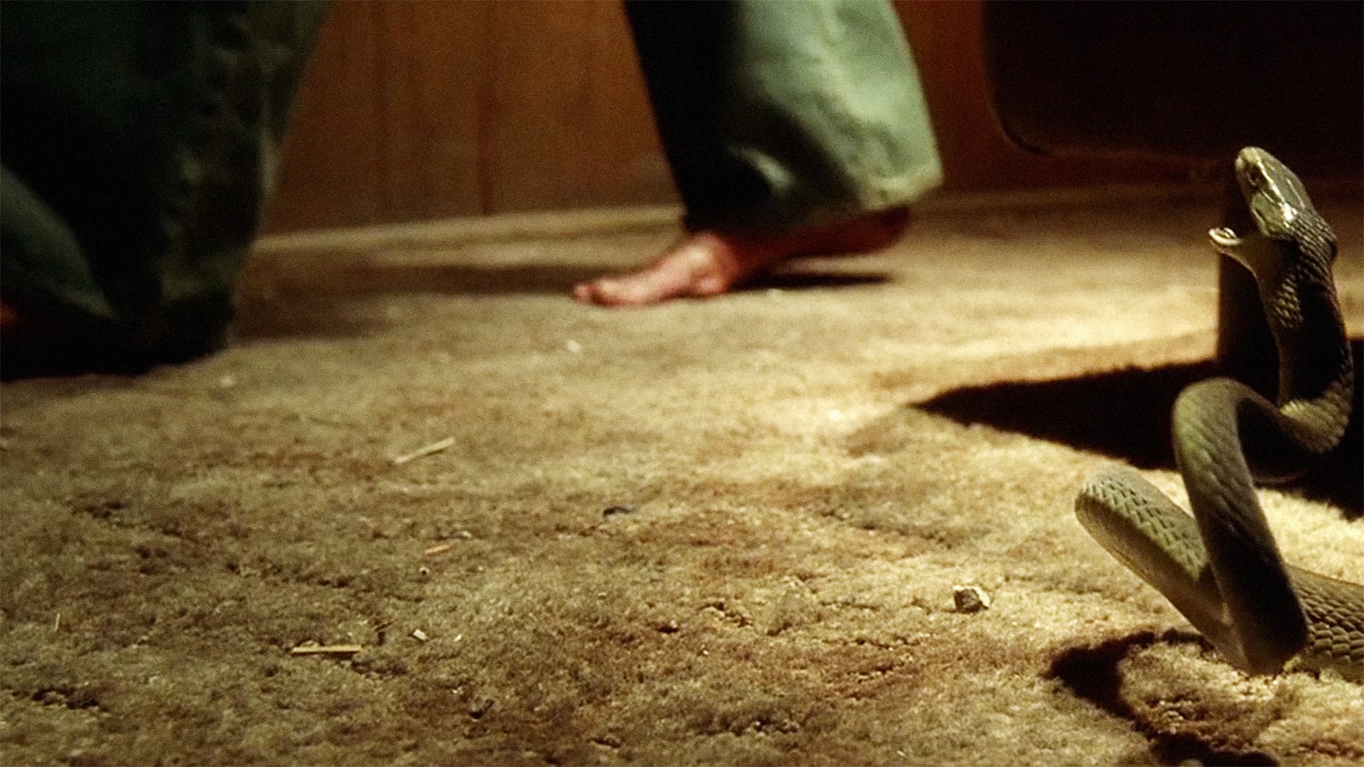 A Comprehensive Look At Quentin Tarantino's Favorite Body Part In All ...