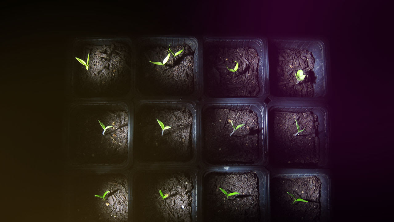 How To Hire Your Startup's Founding Team - Fast Company