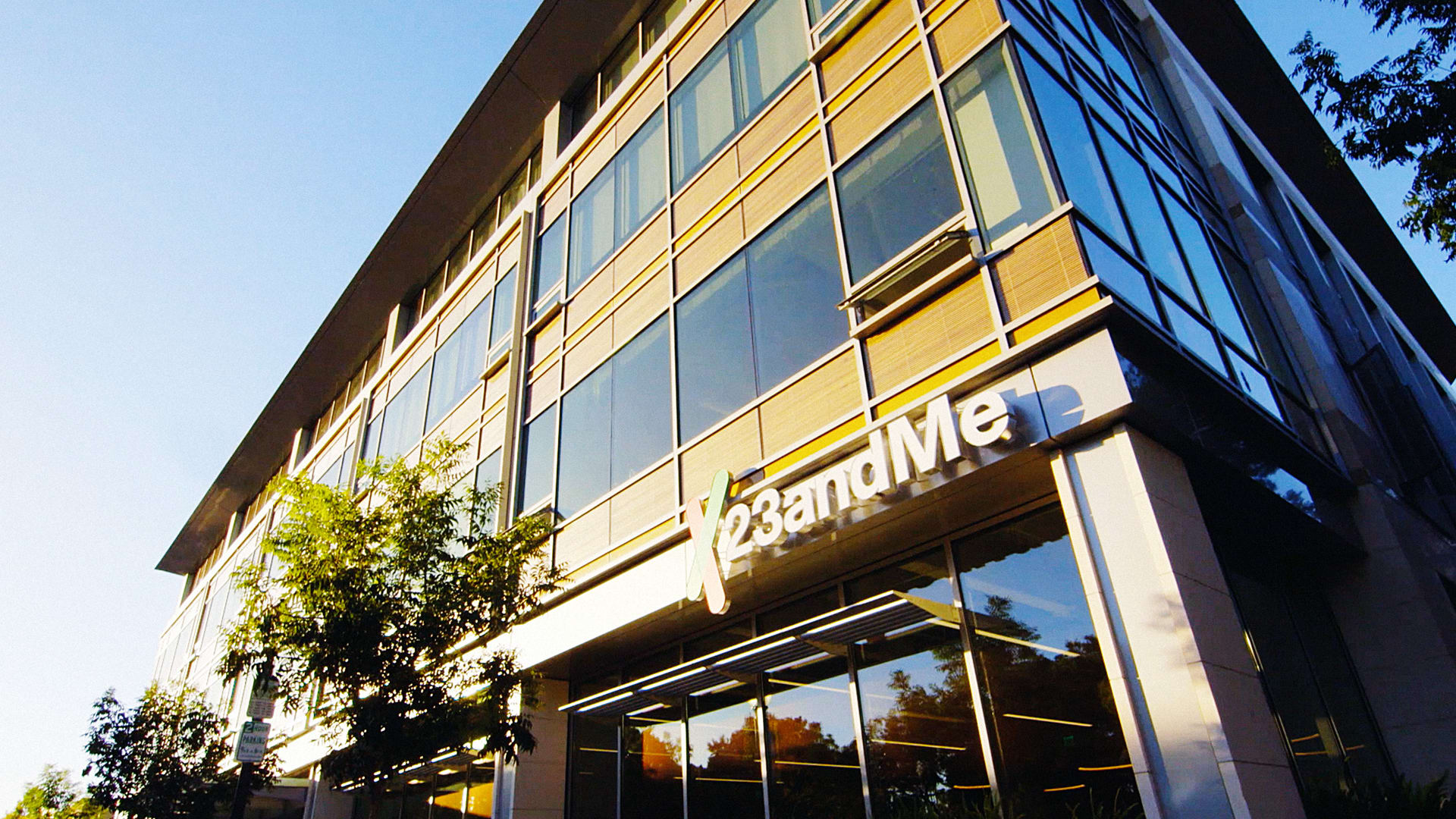 How CEO Anne Wojcicki Turned 23andMe Around After Falling Out With The ...