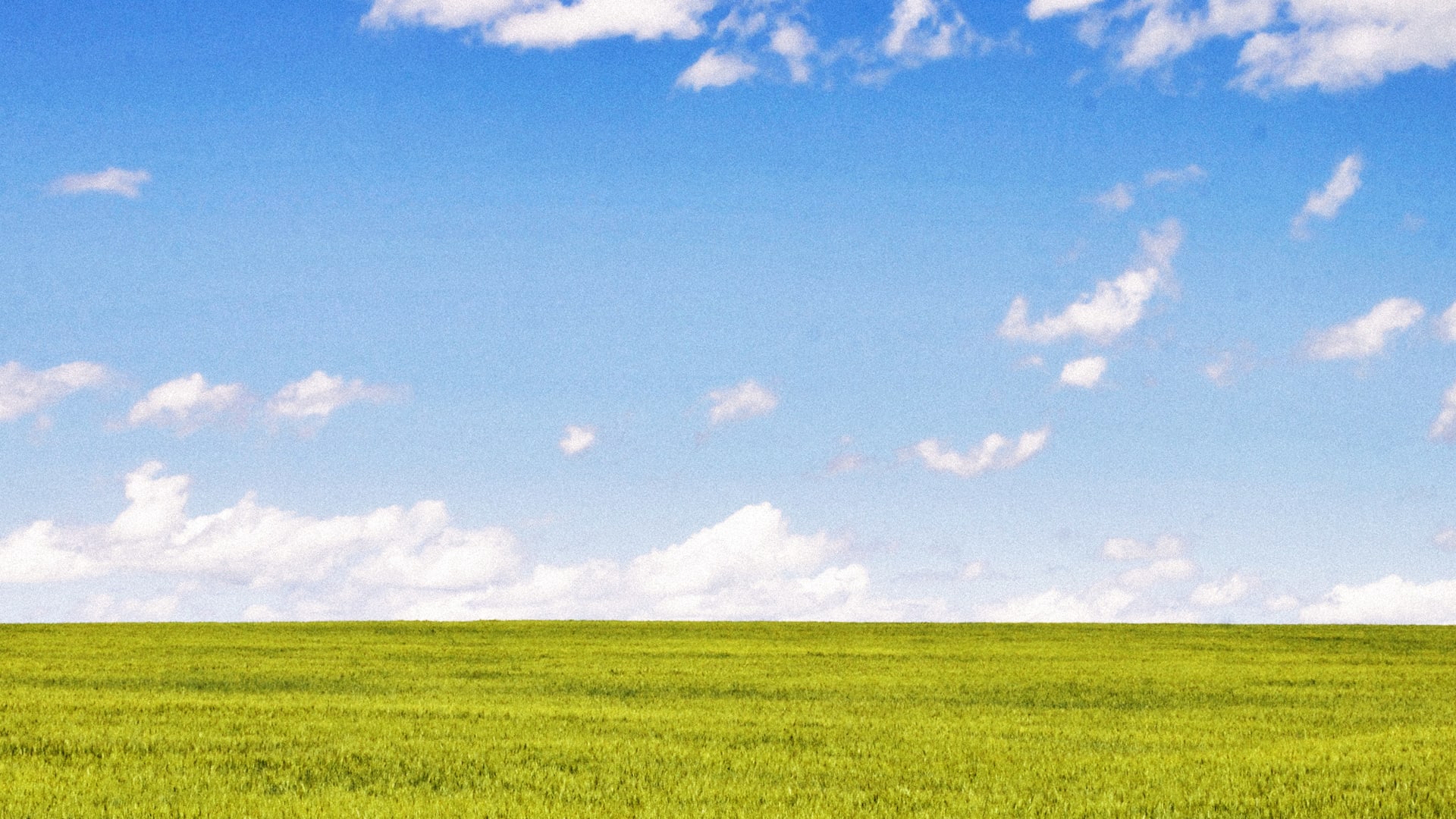 1995: The Year Everything Changed - Fast Company