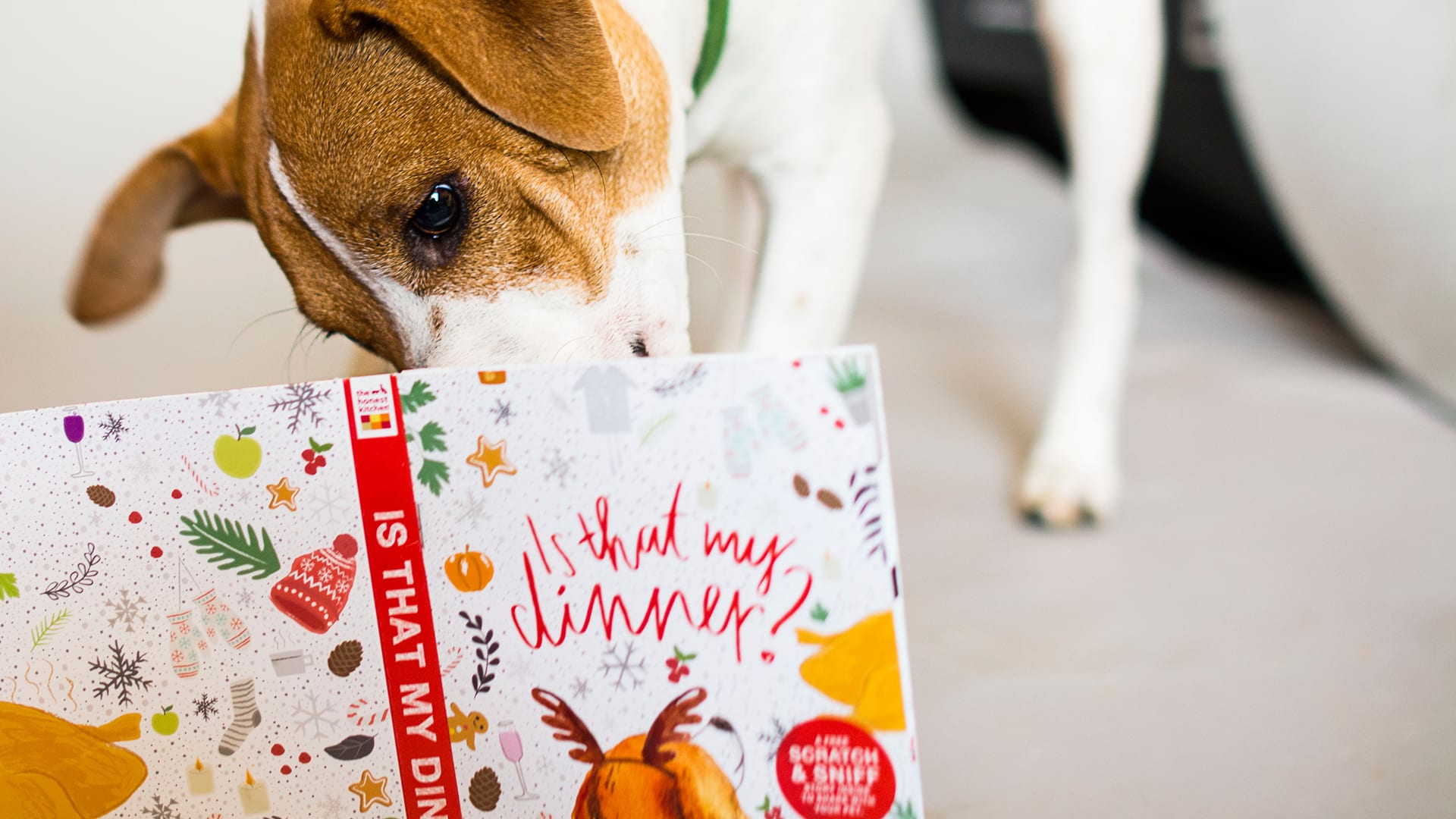 It's A Canine Christmas With The Honest Kitchen's Scratch And Sniff ...