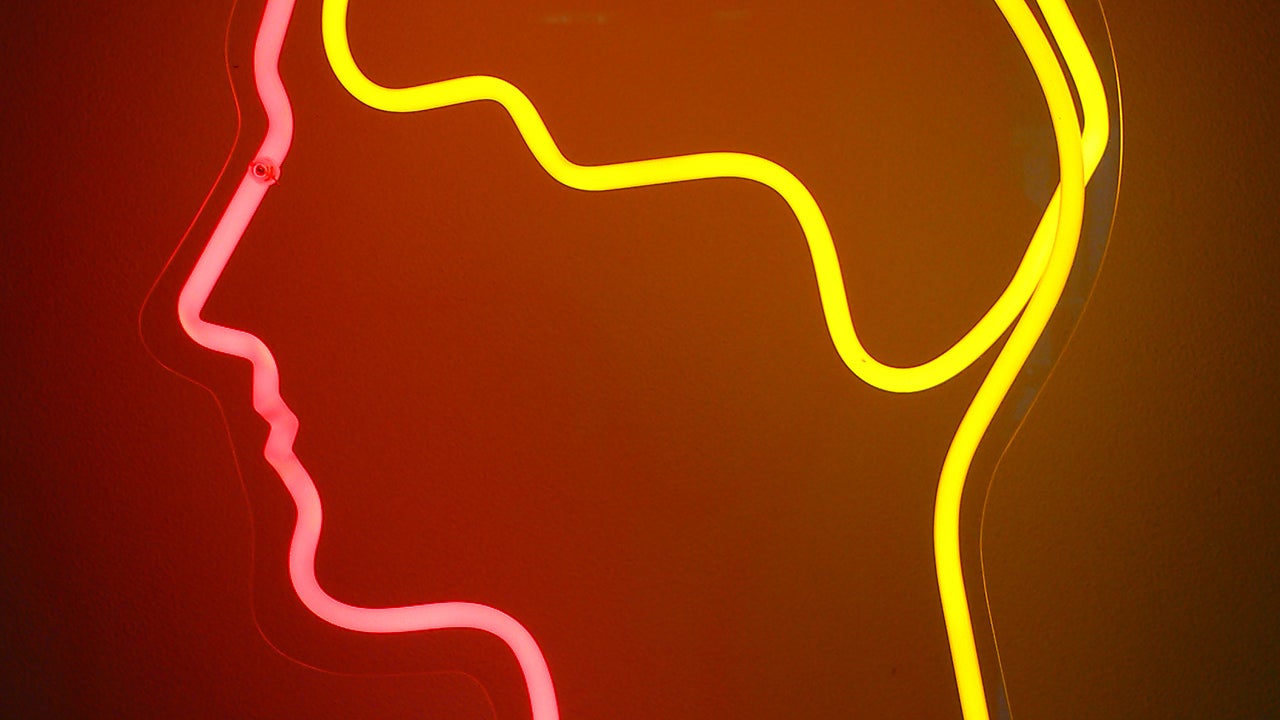 Meet Lumosity's New Boss - Fast Company