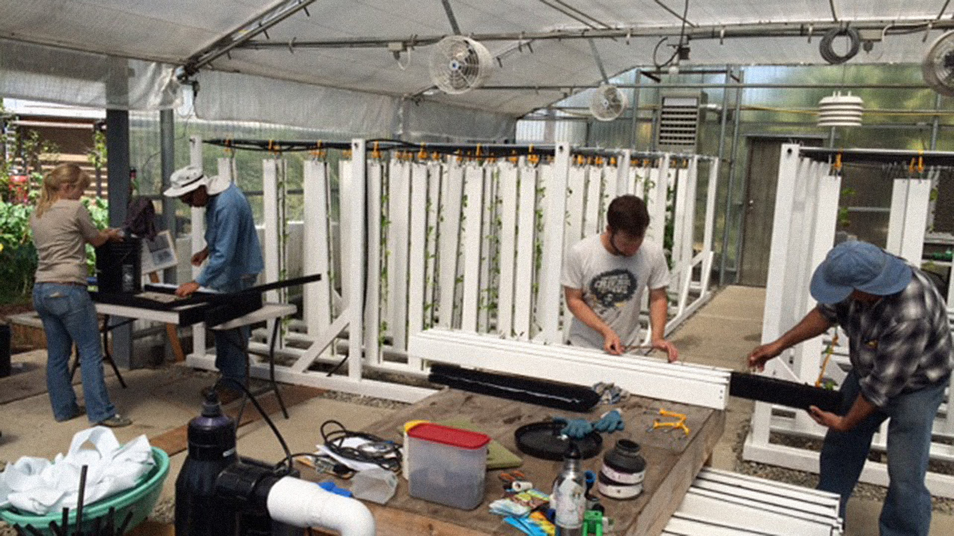 This Californian Urban Farm Is A Glimpse Into The Future Of Agriculture ...