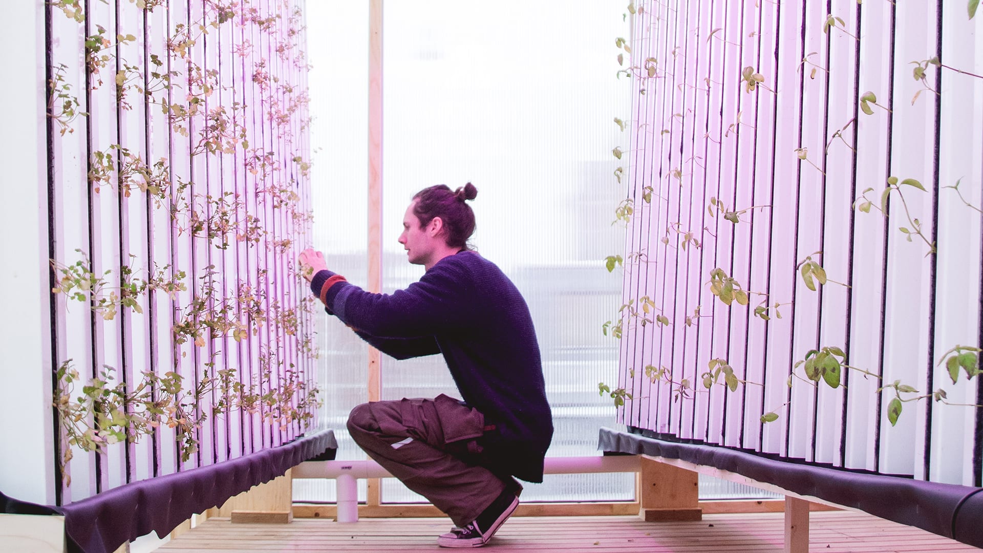 This Flatpack 2-Story Farm Is Designed To Pop Up On Empty Lots - Fast ...