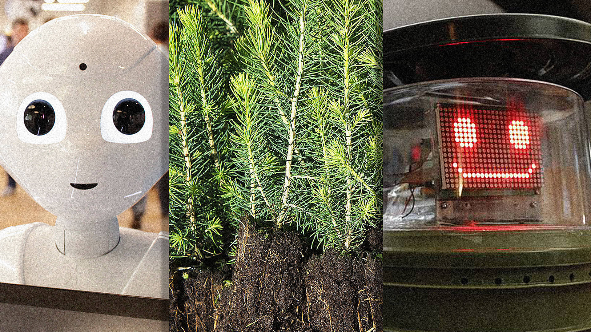 We Will Remember 2015 As The Year The Robot Revolution Began - Fast Company