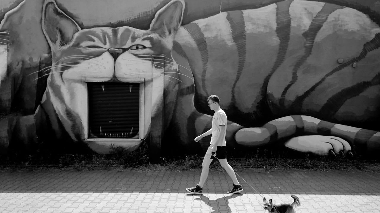 How To Avoid Letting Others Deceive You - Fast Company