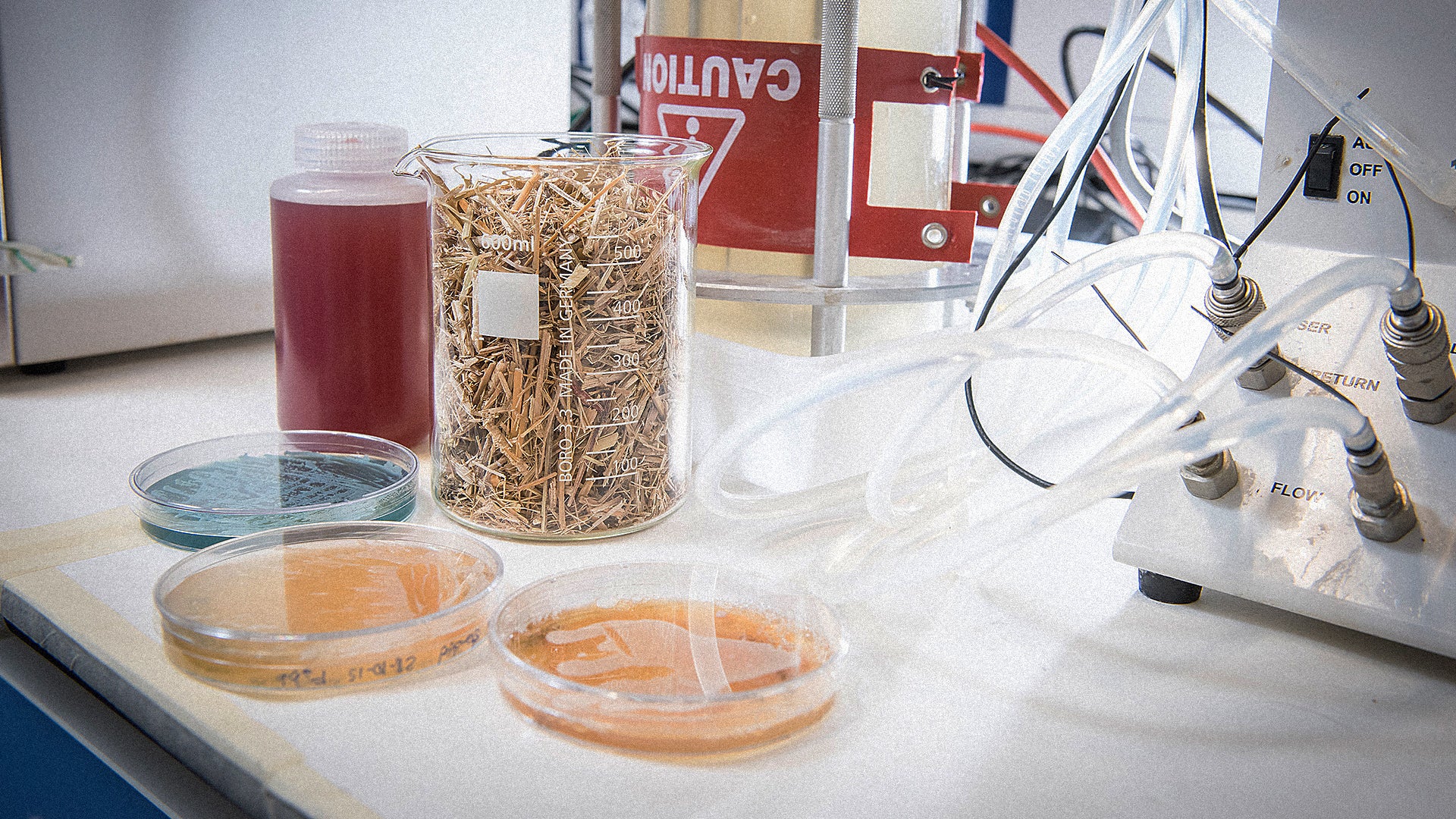 Could Fake Palm Oil Made From Food Waste Help Save Orangutans? - Fast ...