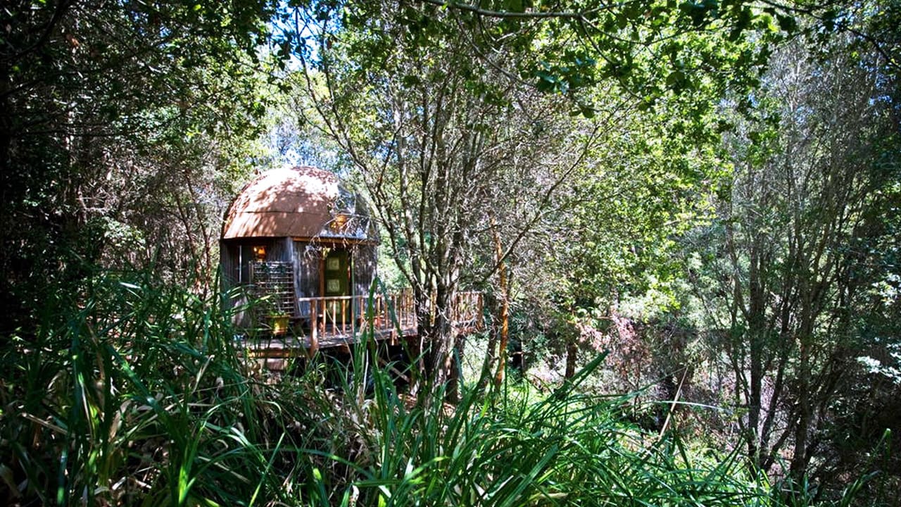 Here Is Airbnb's Most Popular Rental Ever - Fast Company