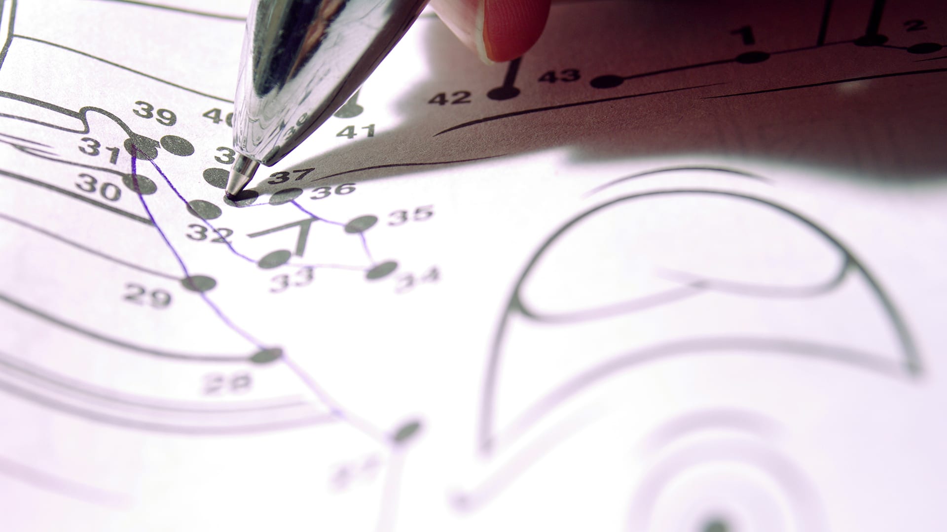 Connecting The Dots Between Childhood Struggles And Future Success ...