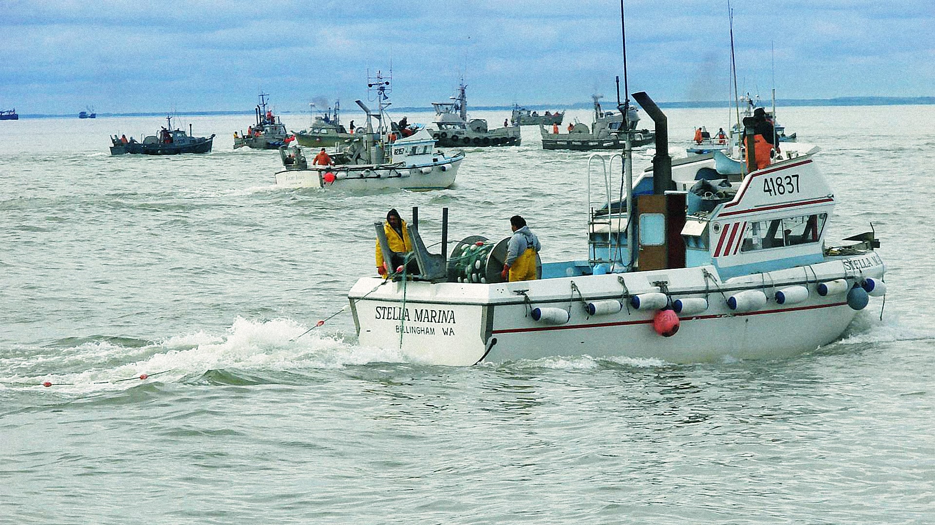 To Save The Planet, Should Humans Divide And Conquer Specialized ...