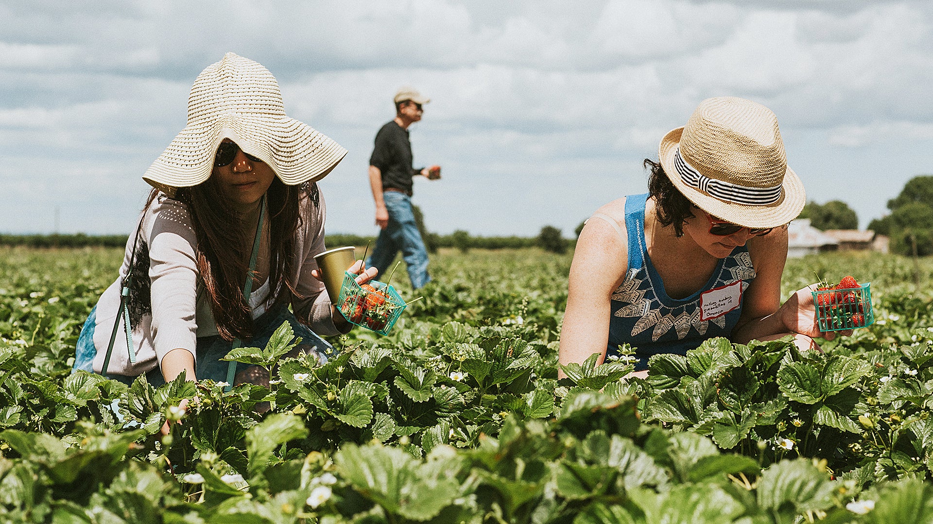This New Startup Wants To Be The Airbnb For Local Farm Tourism - Fast ...