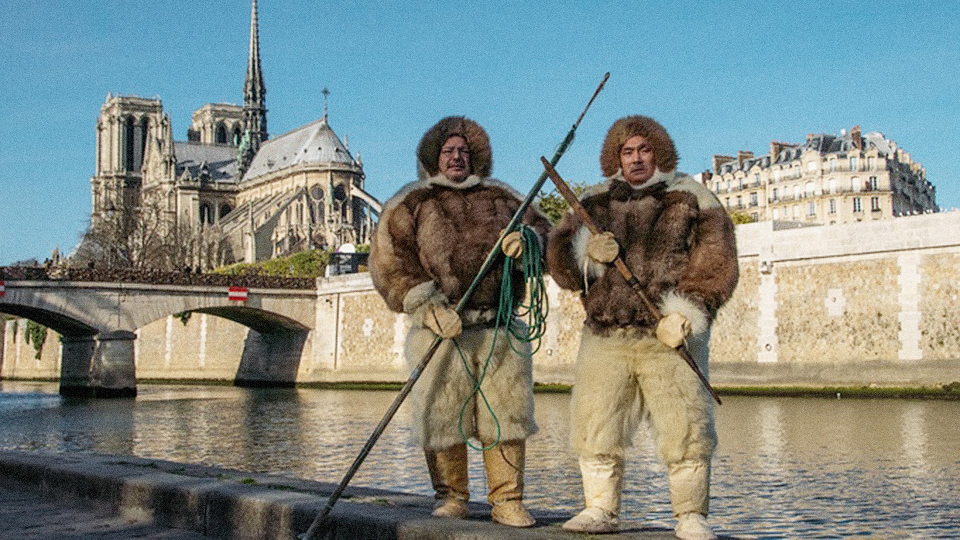 Why This Artist Trained A Team Of French Poodles To Pull An Inuit Sled ...