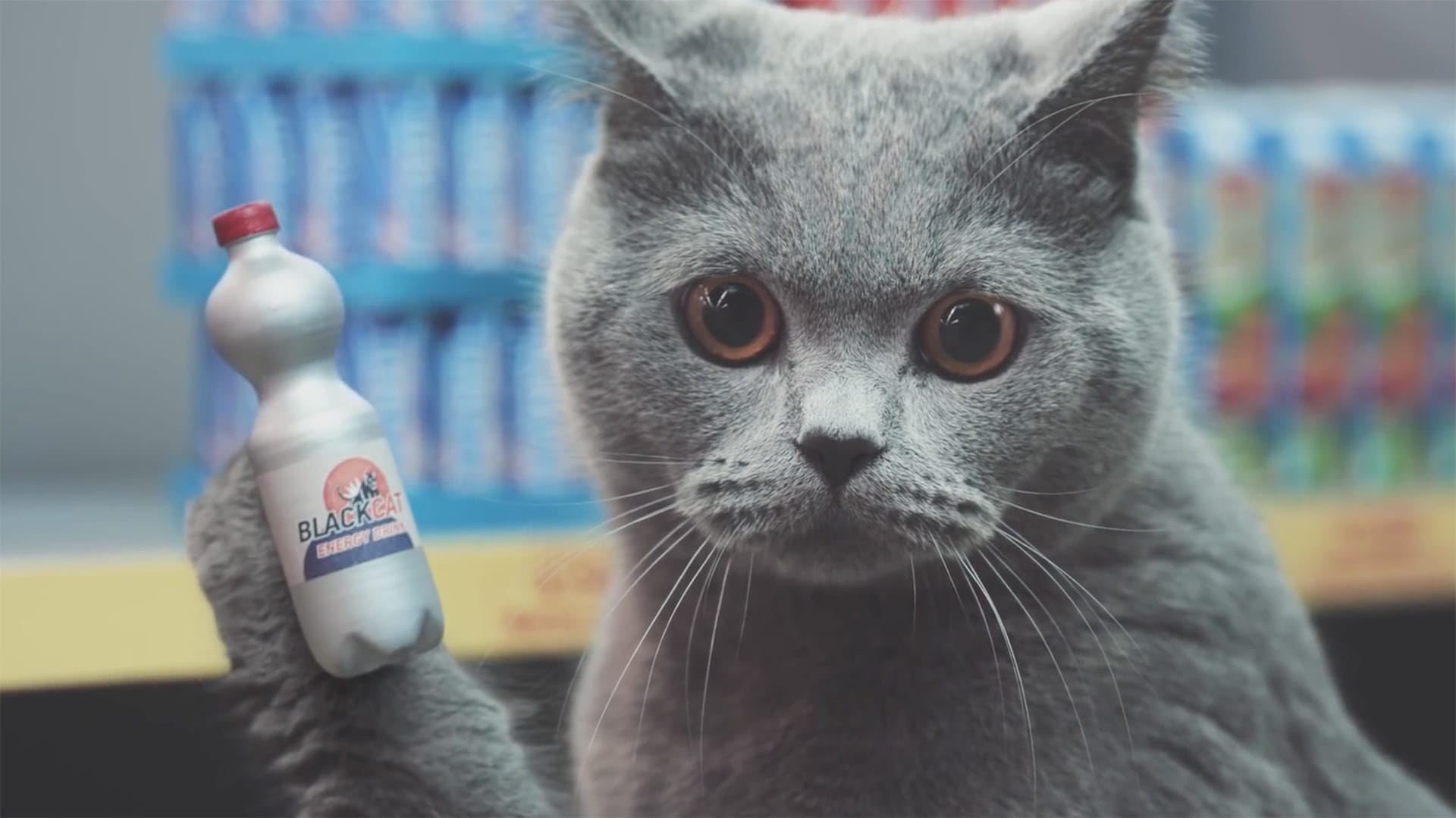 How To Make An Insanely Awesome German Supermarket Ad With Shopping ...