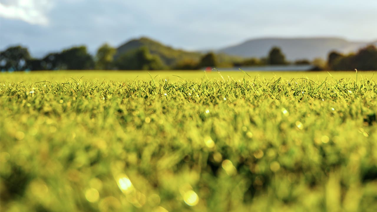 How I Got My Old Job Back After Leaving For A New One - Fast Company