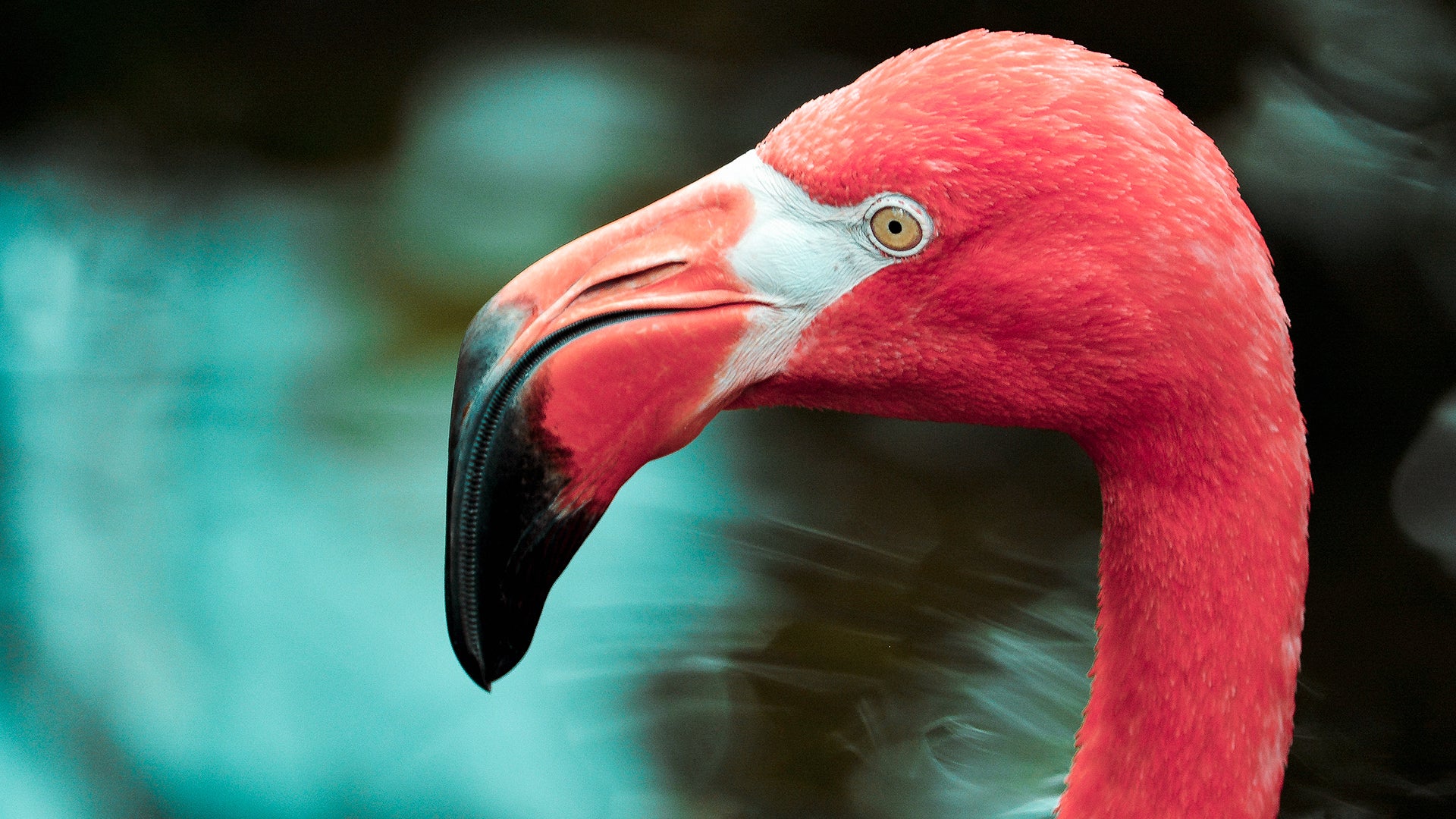 Zoo Troll Leaves Behind Hilarious Fake Animal Fact Signs - Fast Company