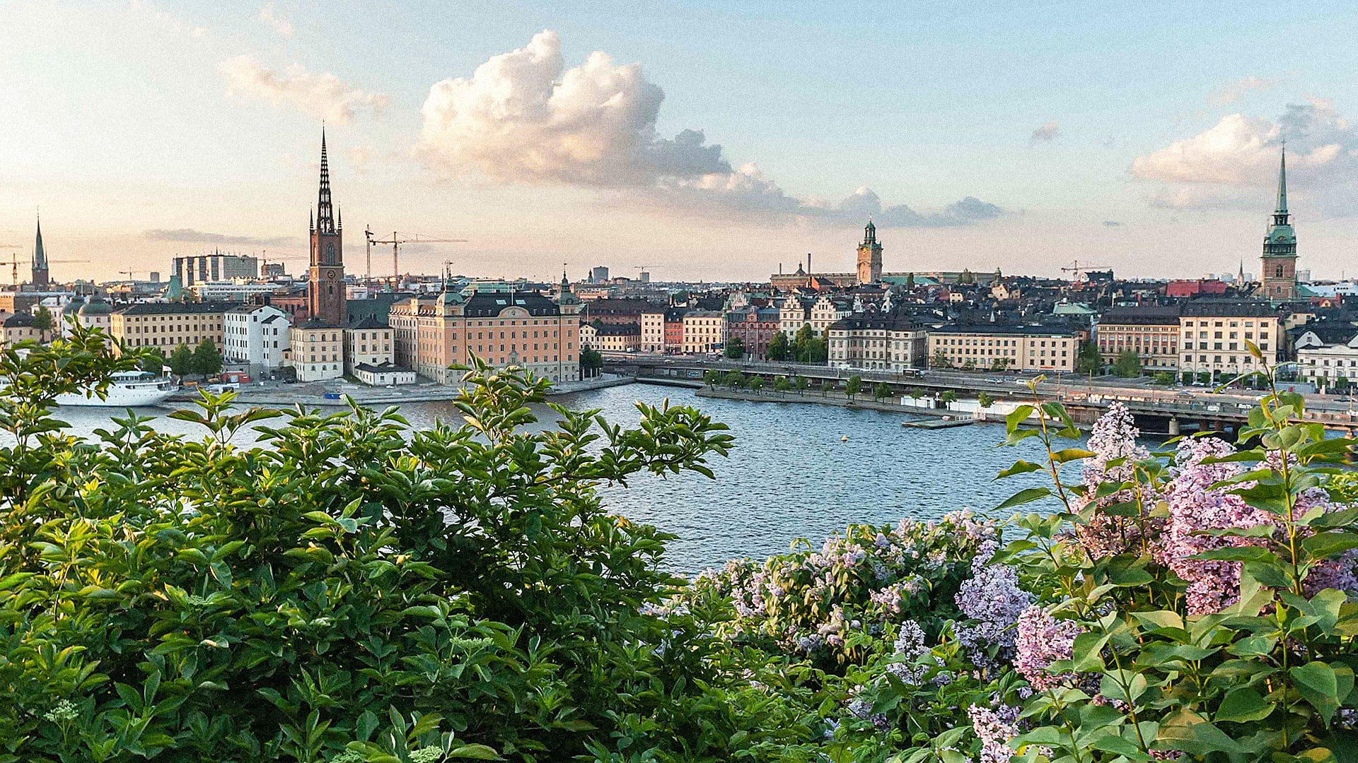 Which Countries Are Making The Best Progress On The Sustainable ...