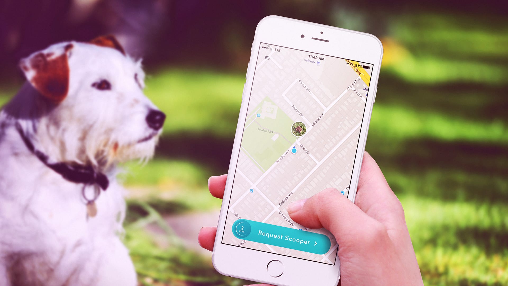 This "Uber For Dog Poop" App Is Definitely Fake-Sorry, Sharing Economy ...