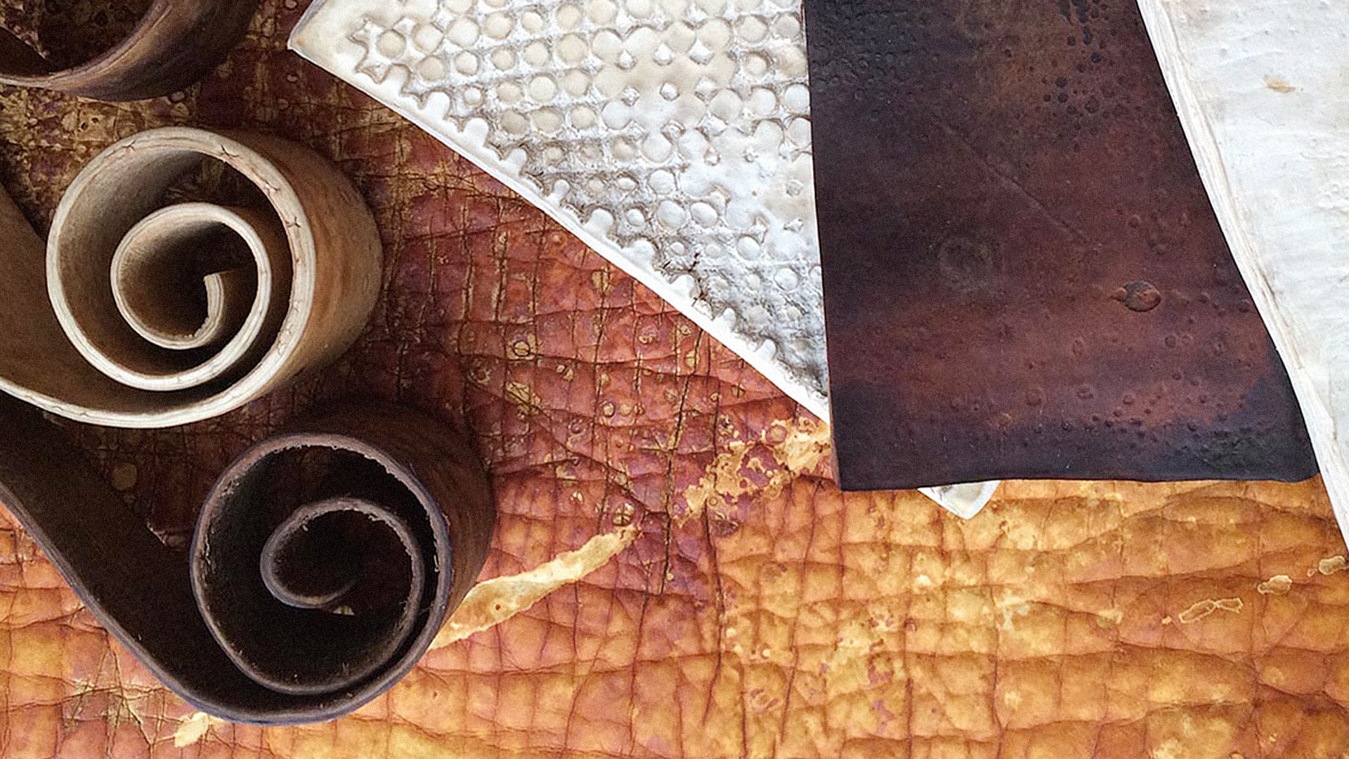 This Beautiful Carbon-Neutral "Leather" Is Grown From Mushrooms - Fast ...
