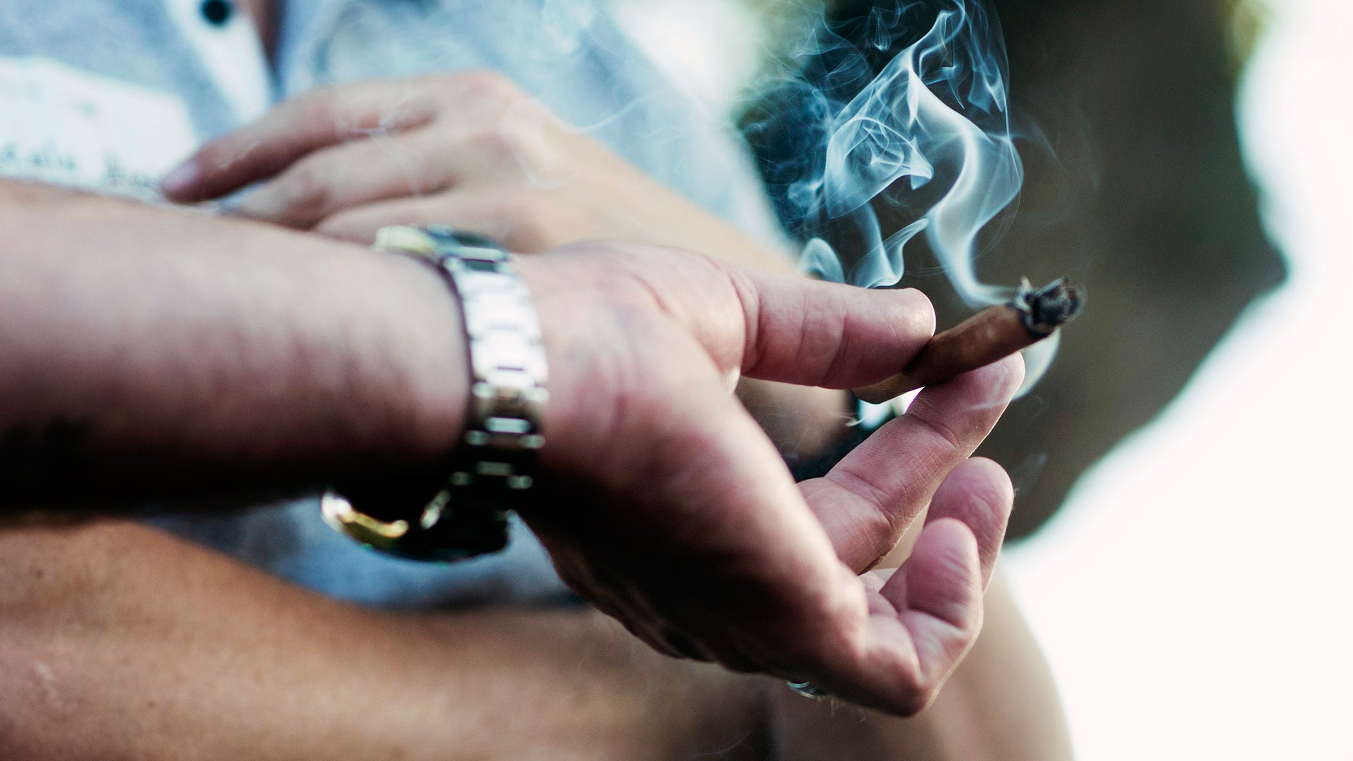 High-End Dining: Are Marijuana Meals The Next Big Foodie Trend? - Fast ...