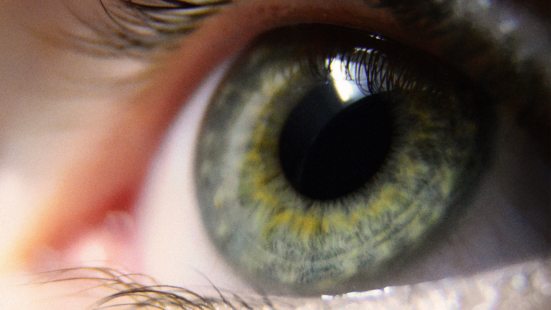 Scientists Can Now Grow And Implant Artificial Corneas - Fast Company