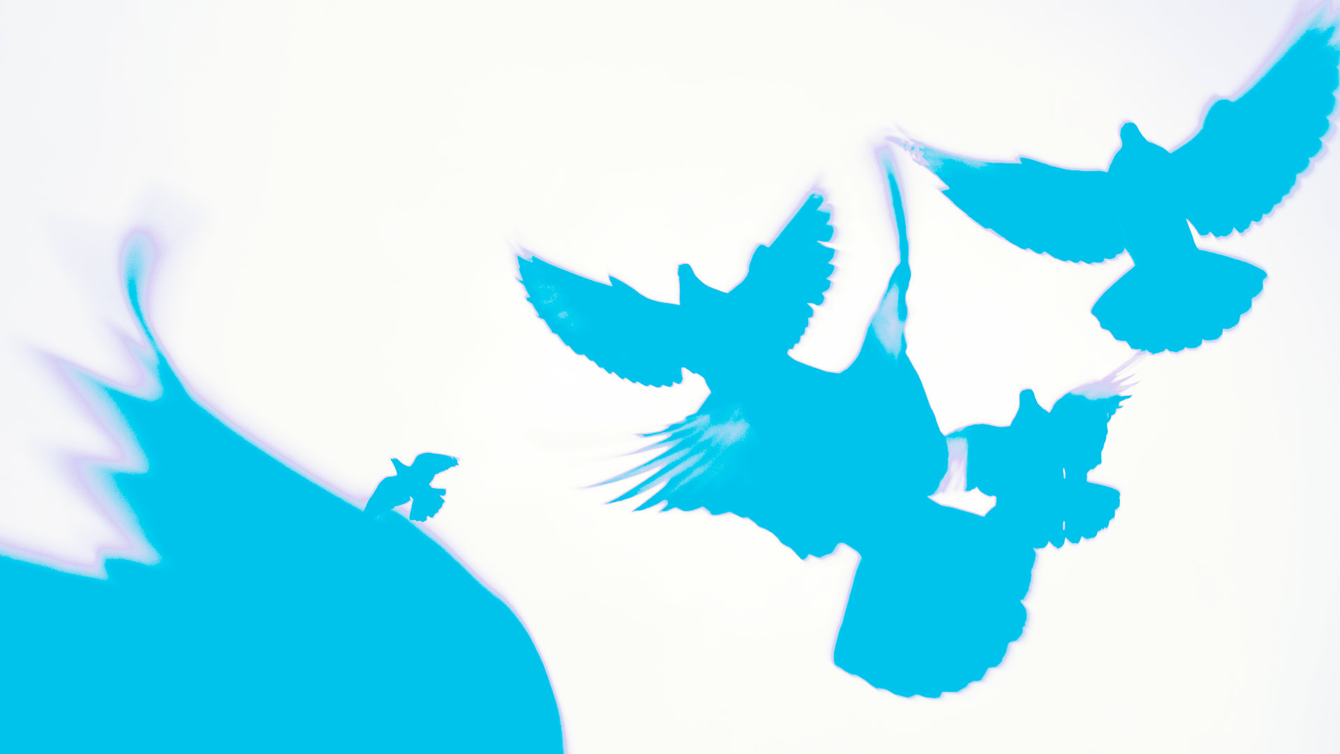 How Twitter Got Angry - Fast Company