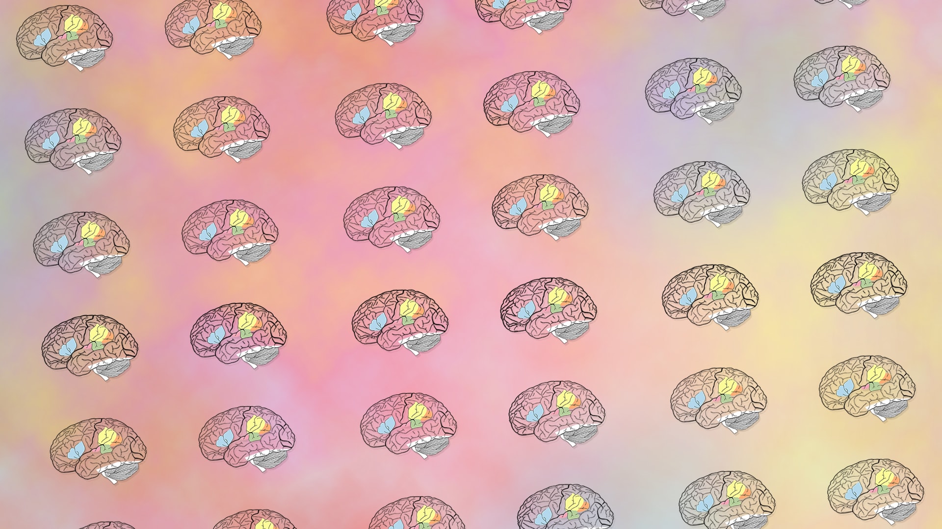 Six Brain Hacks To Learn Anything Faster - Fast Company