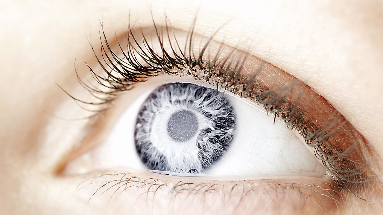 Researchers Have A Vision: Cure Blindness By Regrowing Retinas And ...
