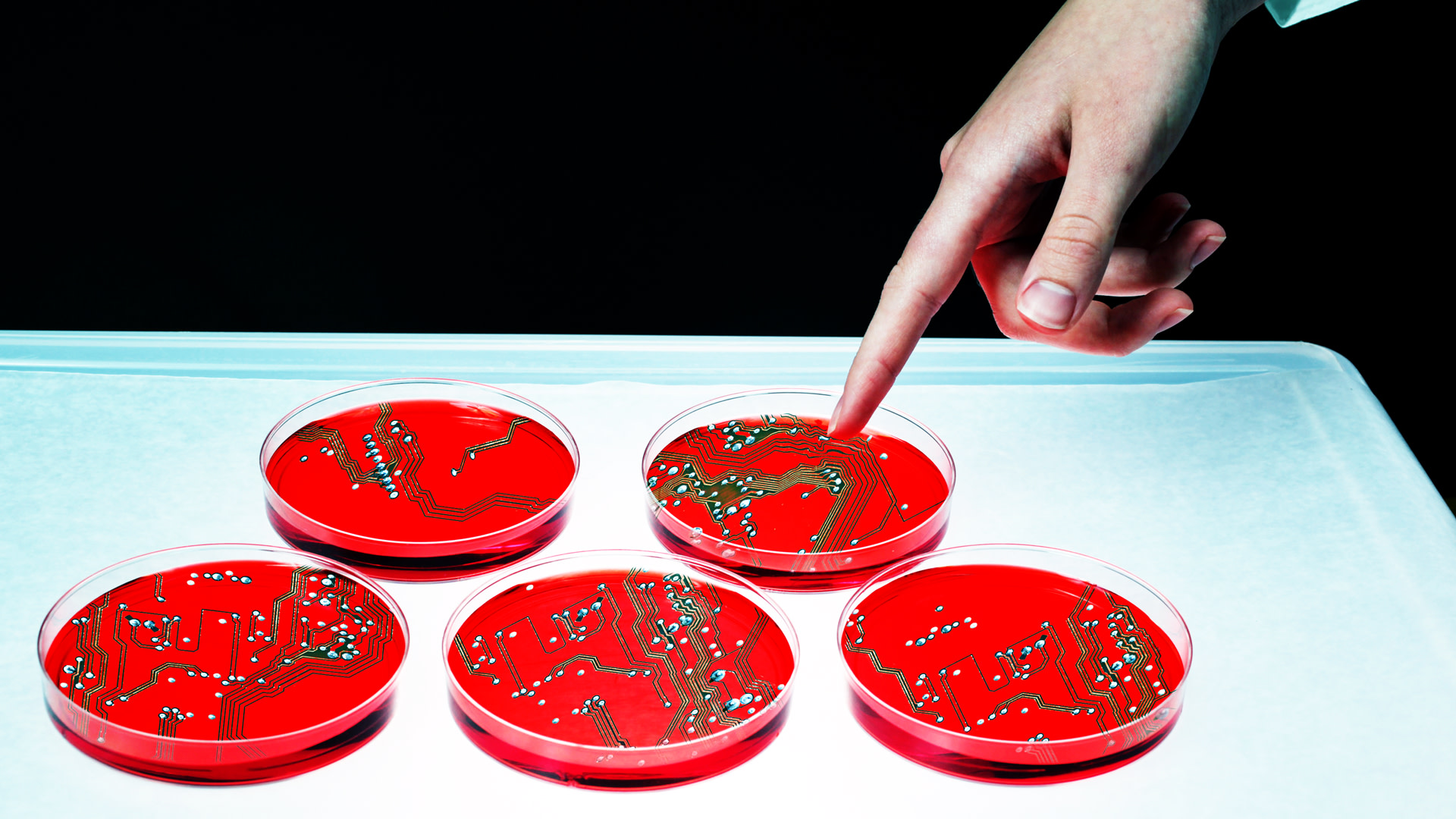 Why These Tech Companies Keep Running Thousands Of Failed Experiments ...