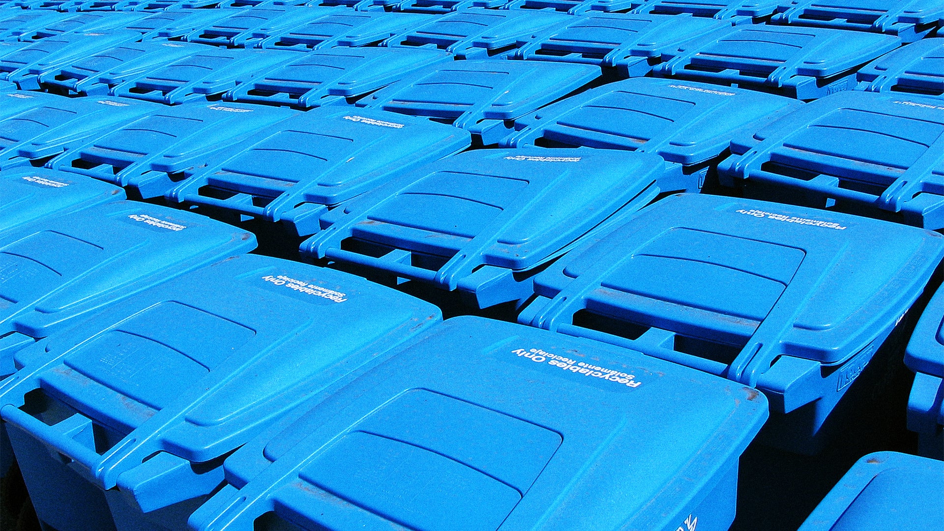 The Fascinating Psychology Of Why And What We Choose To Recycle - Fast ...