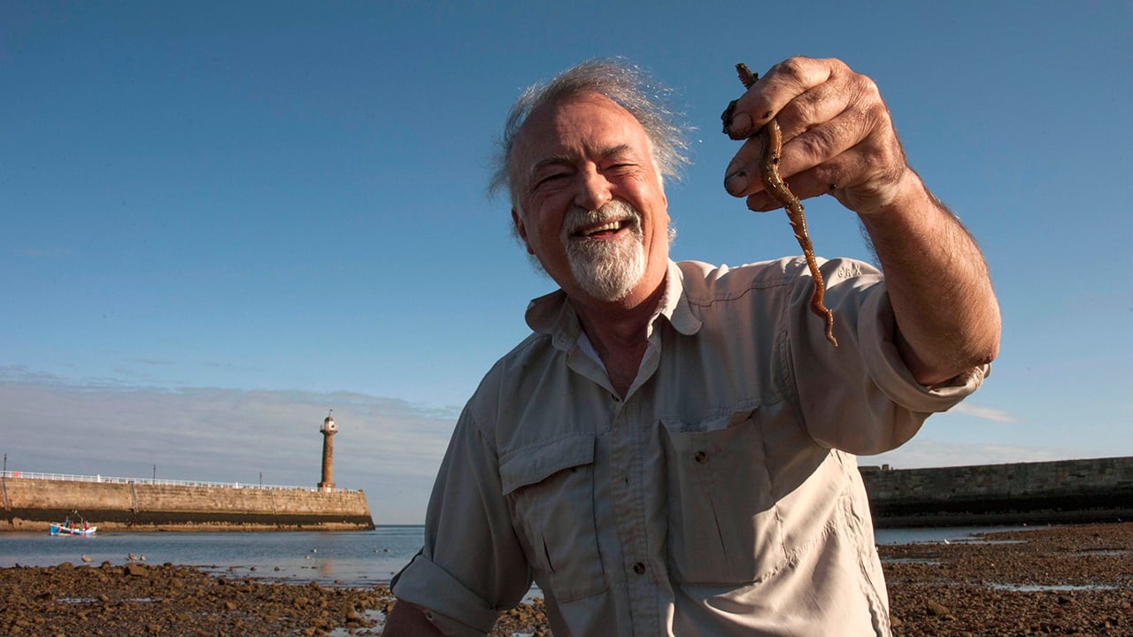 Turns Out Humans Aren't The Only Animals That Farm-These Worms Do Too ...