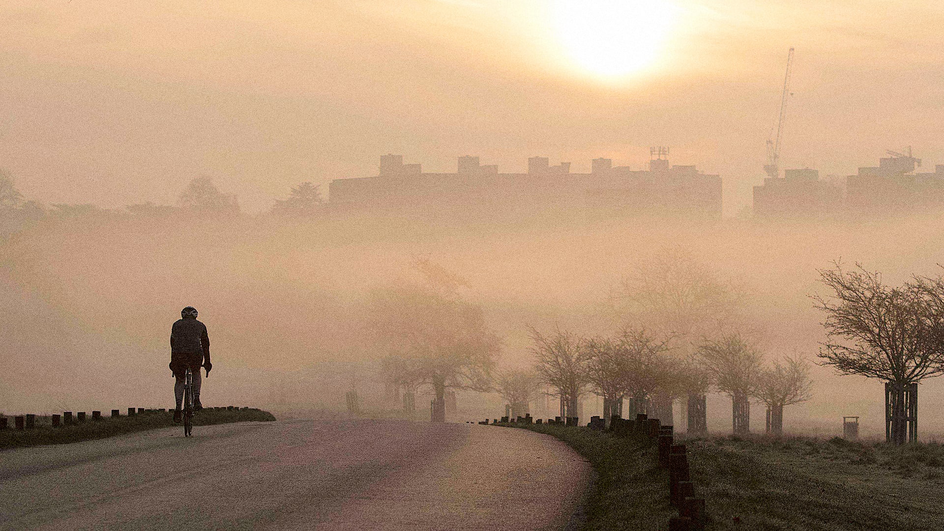 How Fast You Should Be Riding Your Bike To Breathe The Least Pollution ...