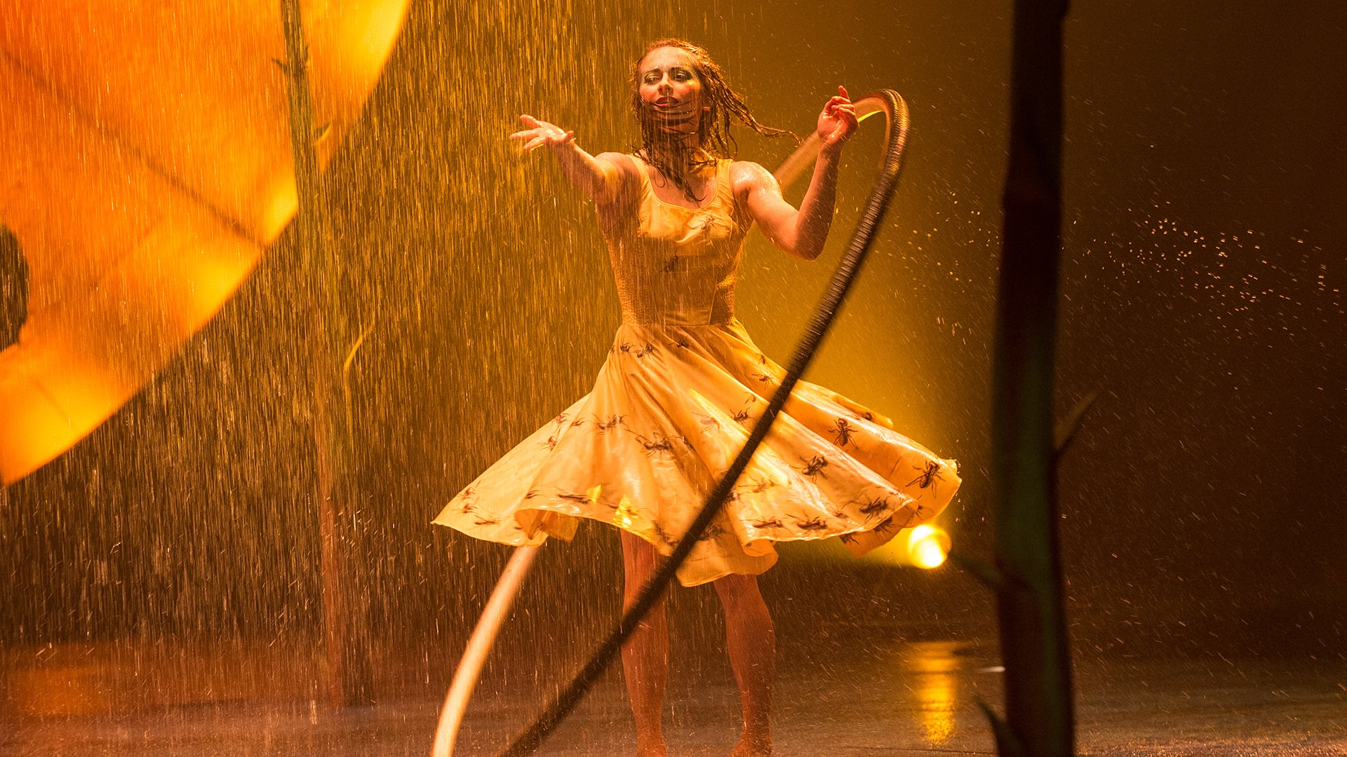 How Cirque Du Soleil Created Its First-Ever Touring Water Show - Fast ...