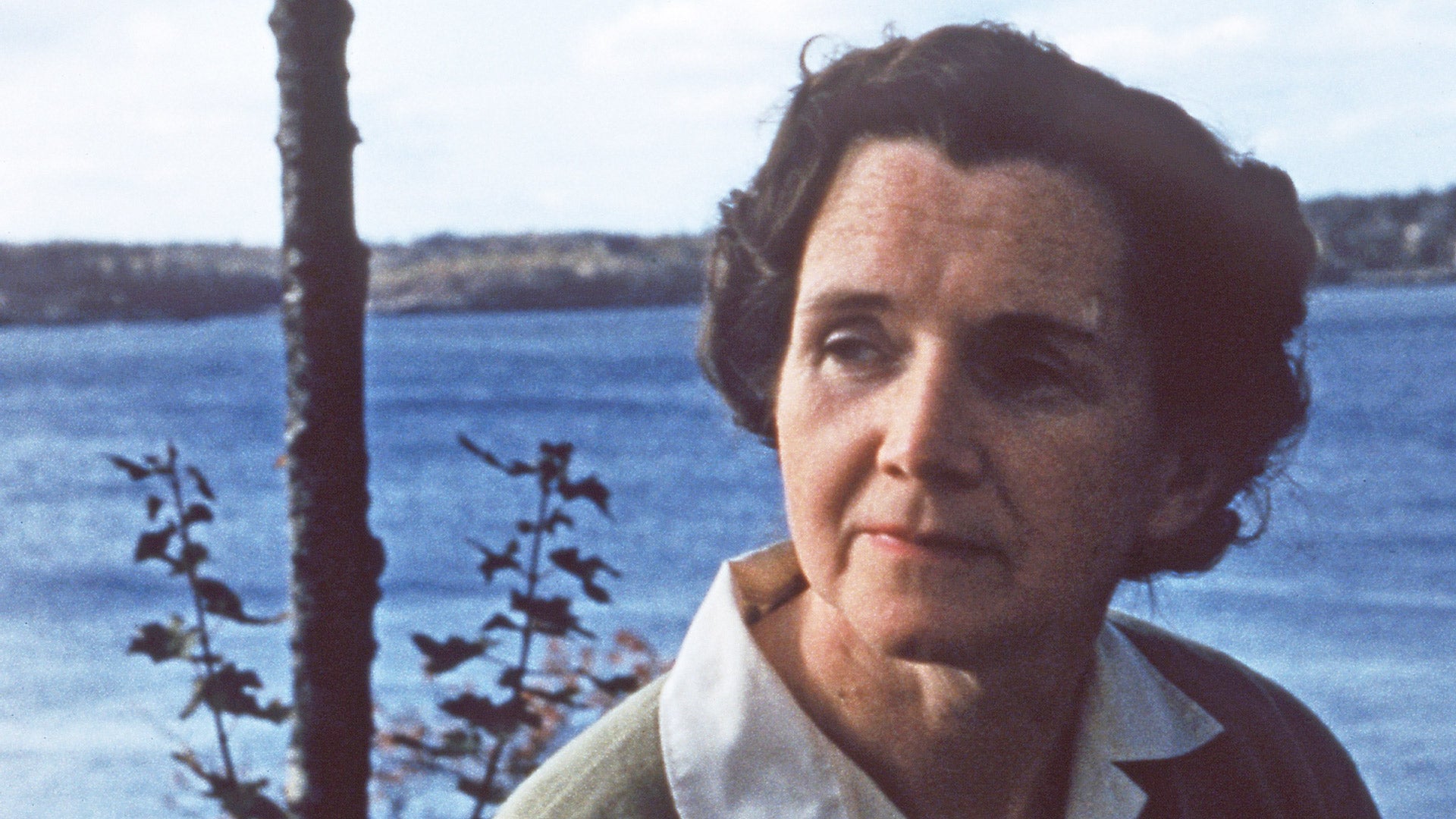 Get To Know The Mother Of The Modern Environmentalist Movement In This ...