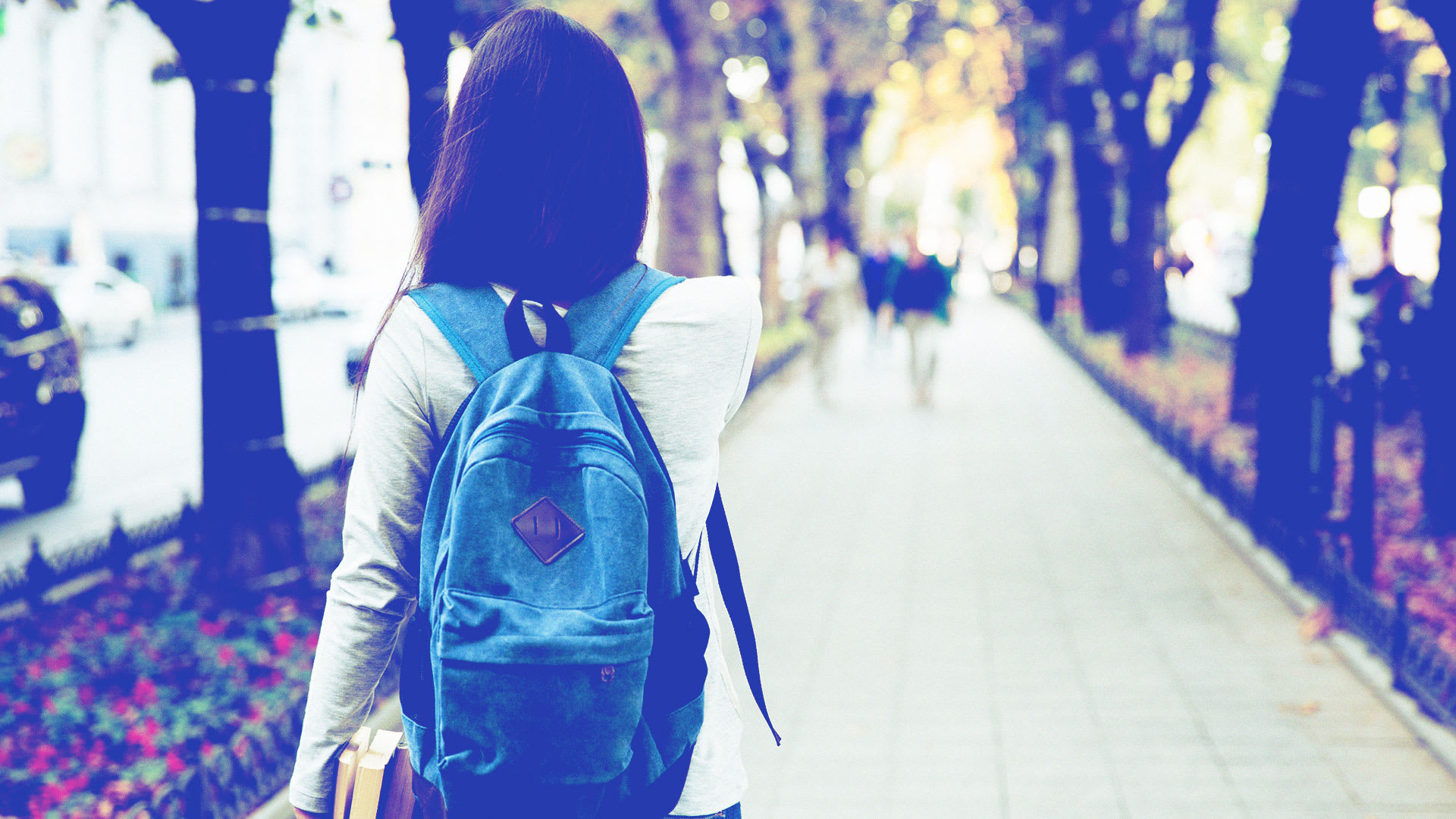 How To Enlist Your College Professors In Your Job Search Before You ...