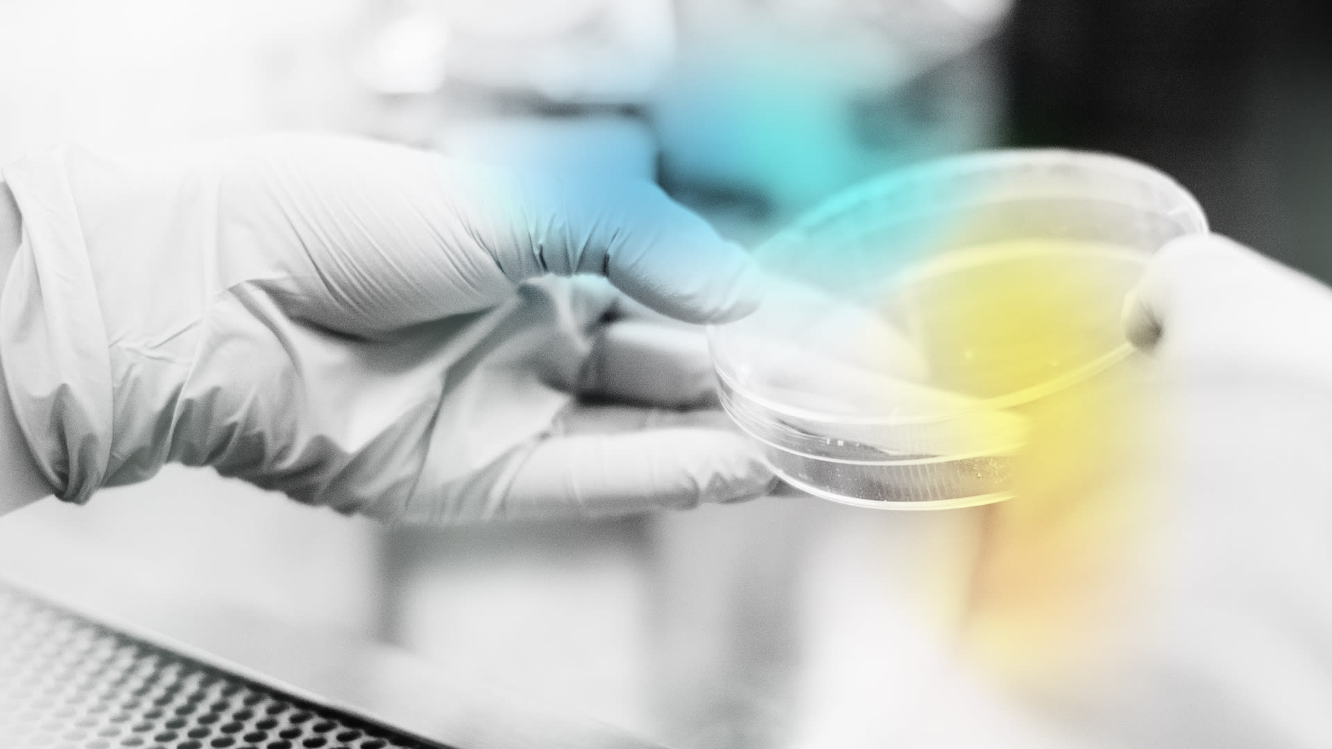 How This Medical Student Brought DNA Testing To Women In Trinidad and ...