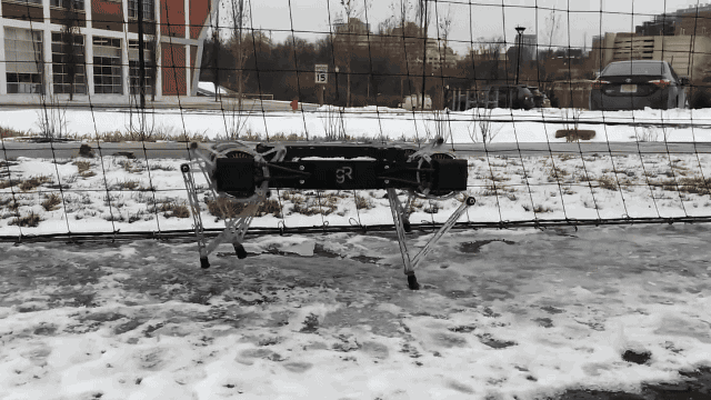 No Terrain Is Too Tricky For This Cute (And Horrifying) Four-Legged ...
