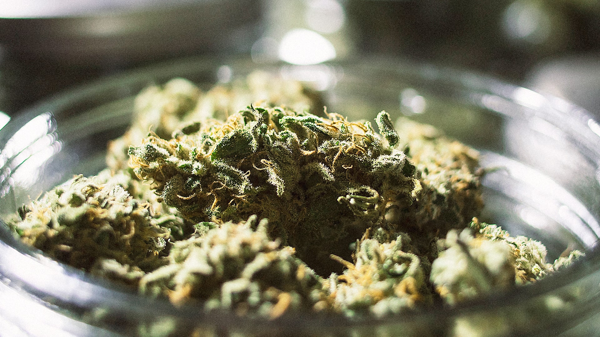 This Juice Company Is Actually Just A Clever Weed Company - Fast Company