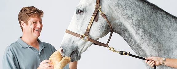 Stable Hand - Fast Company