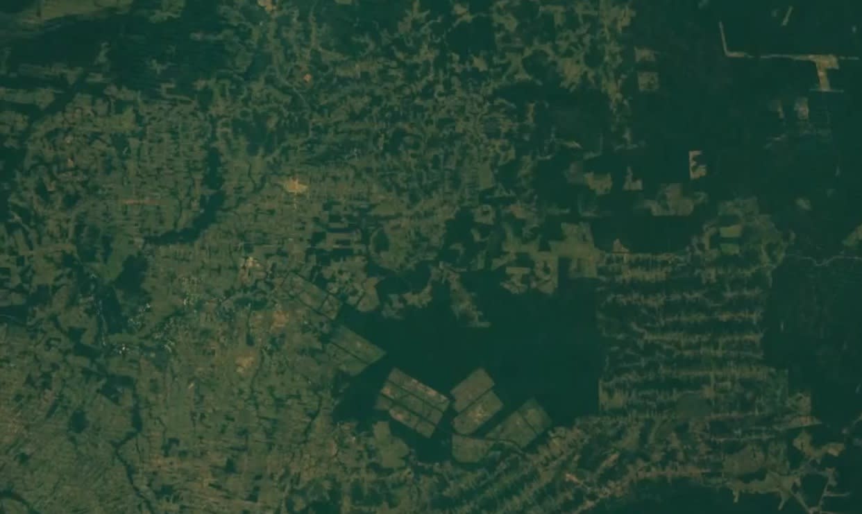 Watch The Deforestation Of The Amazon Rainforest, Courtesy Of Google ...
