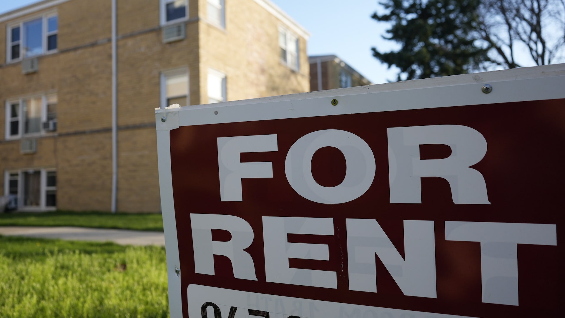 8 renter-friendly tips to personalize your home - Fast Company