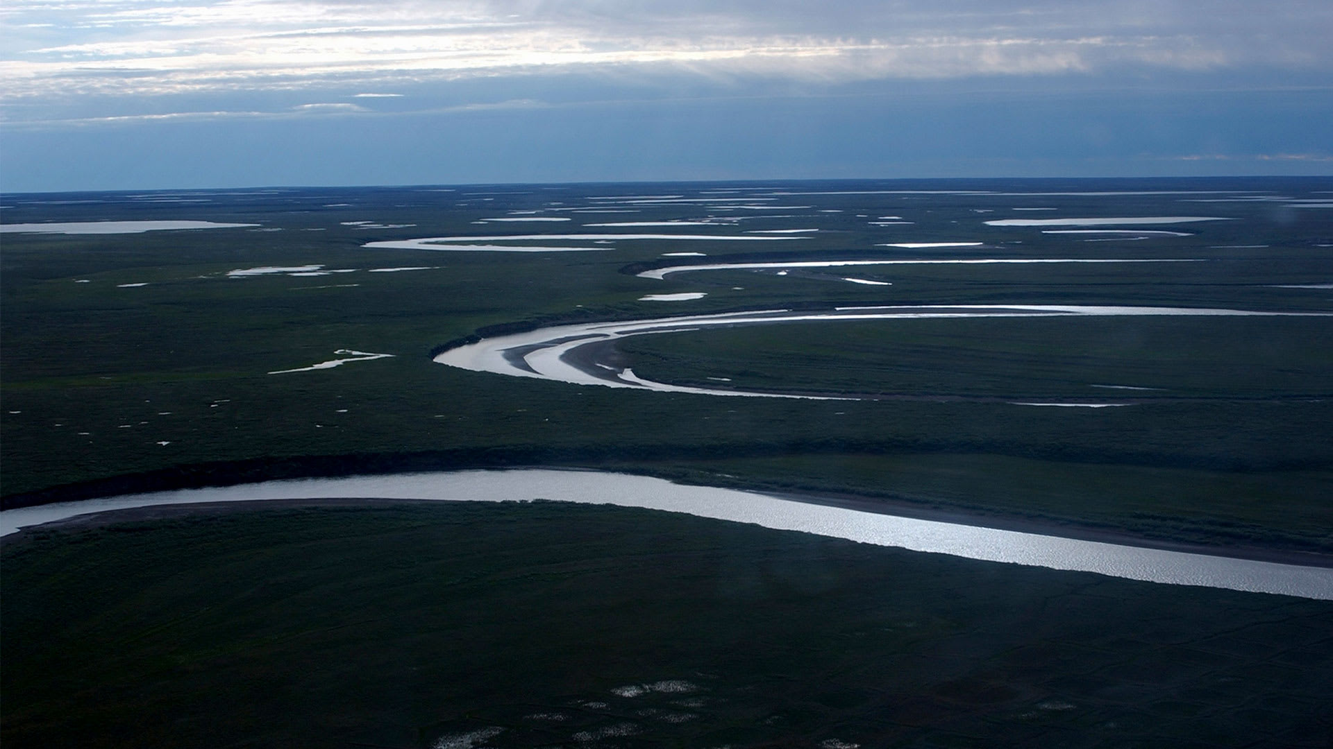 Wildlife on Alaska's petroleum reserve gets protections from new oil ...