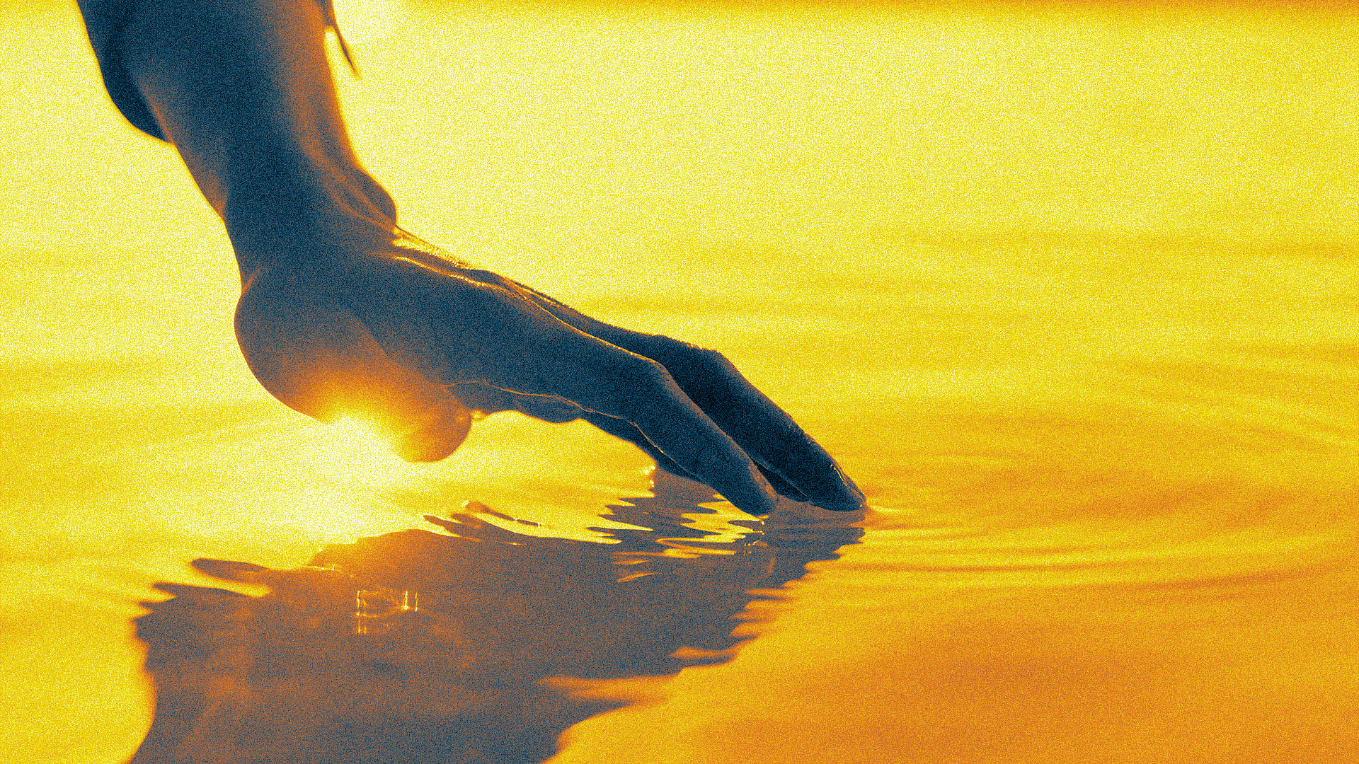 Power principles to tap your potential