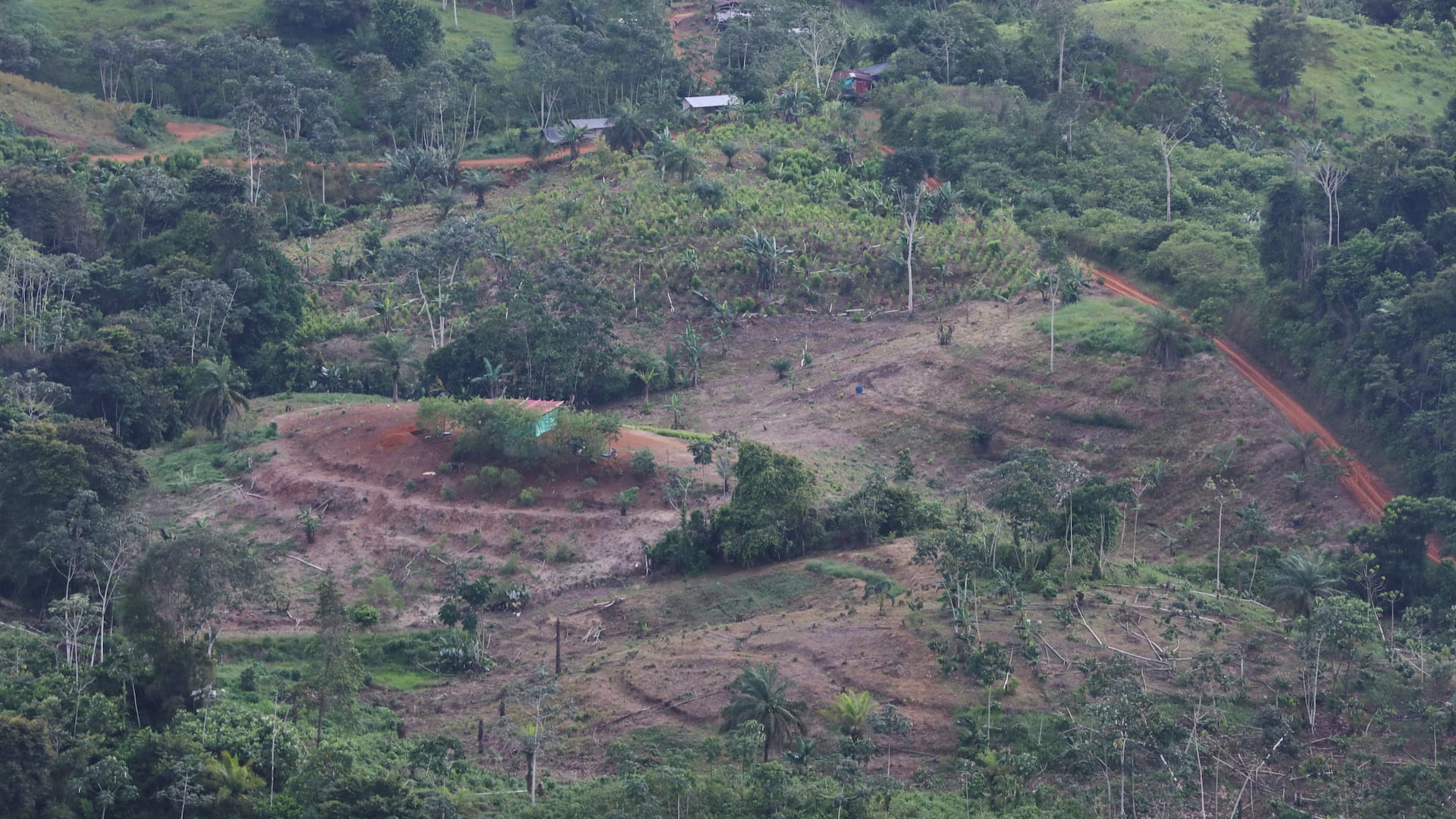 G20 financial regulators are overlooking biodiversity loss and ...