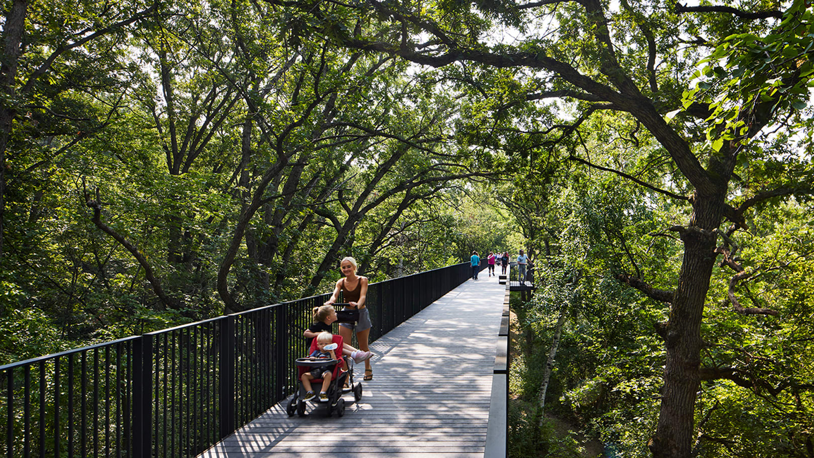 Minnesota Zoo's Treetop Trail has made the zoo busier than ever - Fast ...