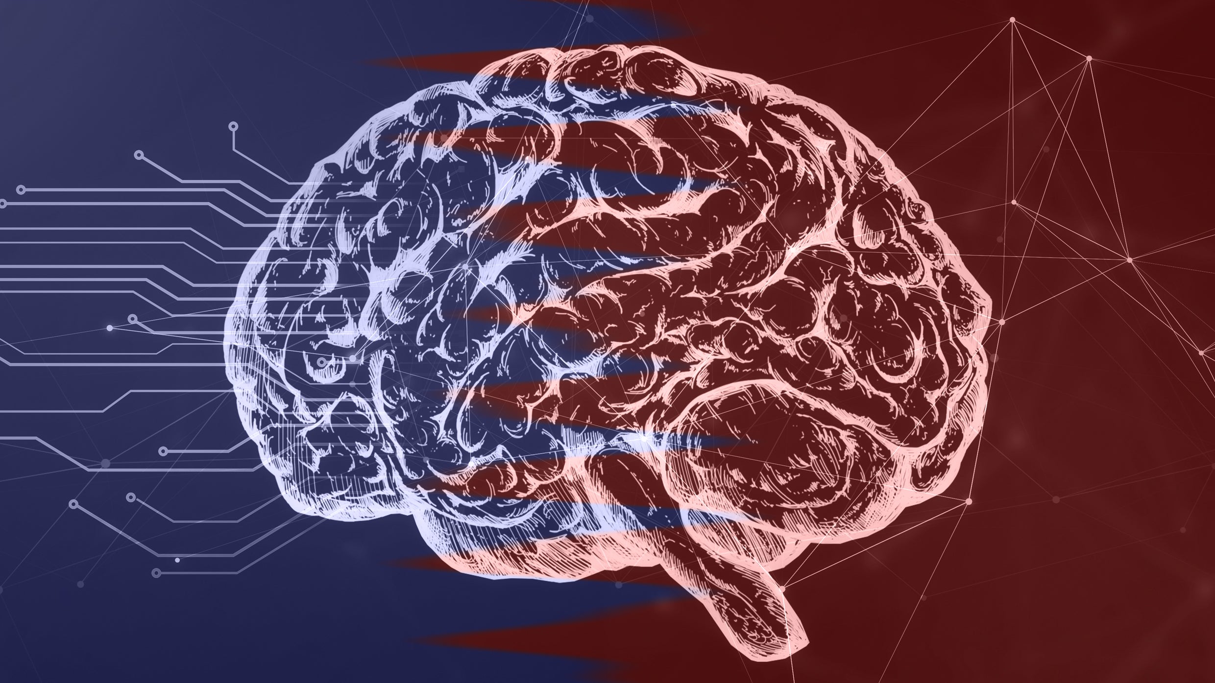 AI models lean left when it comes to politically charged questions ...