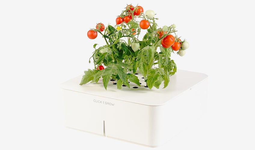 No Joke: An Electronic Flower Pot For The World's Laziest Gardeners ...