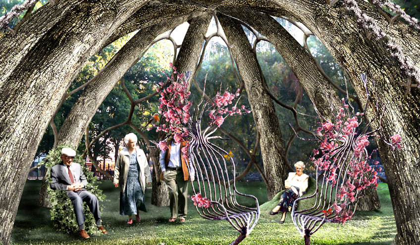 Now Starting: A 60-Year Project To Build A Dome Using Living Trees ...