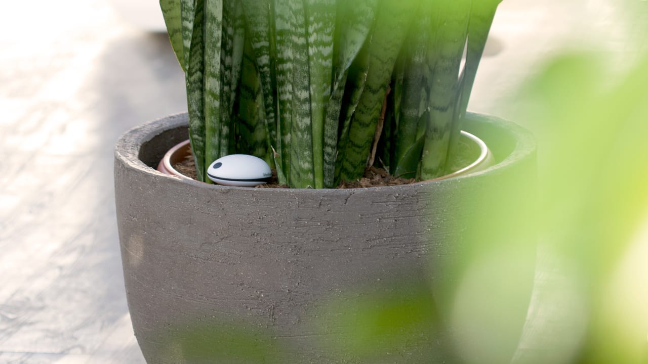 Talk To Your Plants For Dummy-Proof Gardening, Using A Sensor And An ...